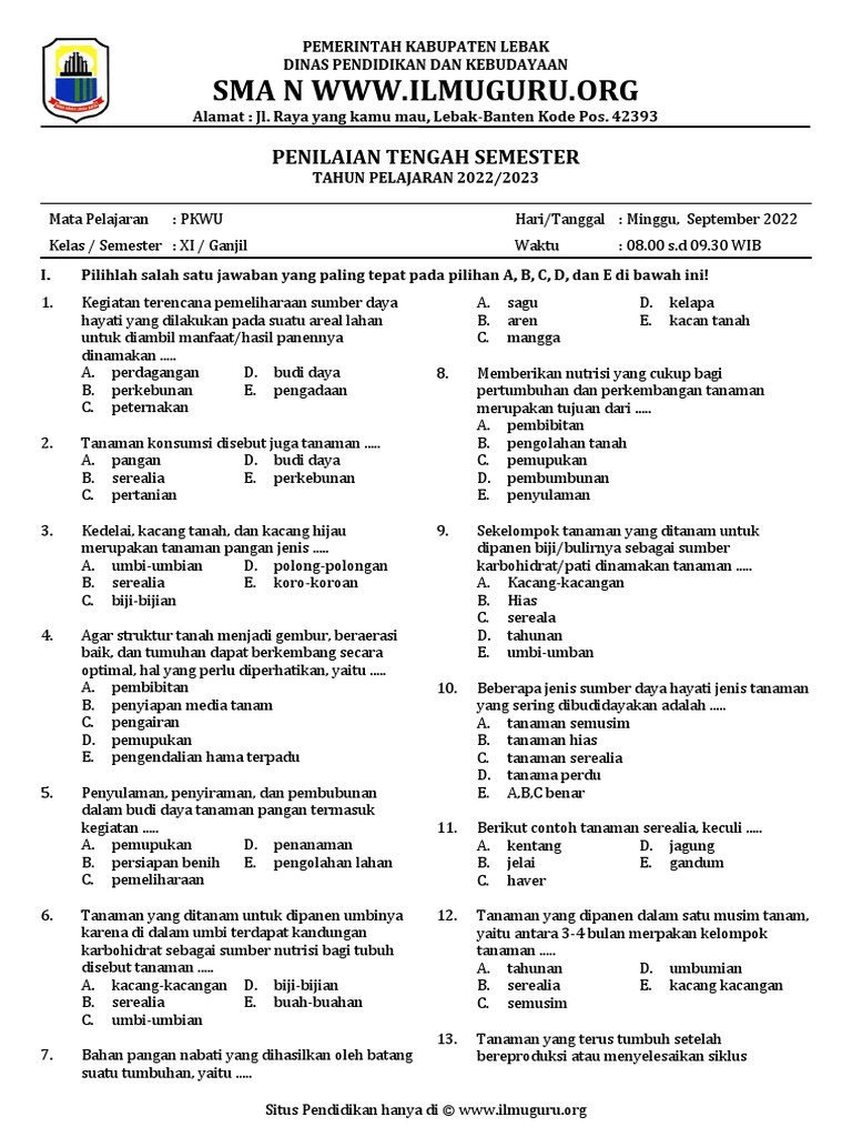 Soal PTS I PKWU XI | PDF