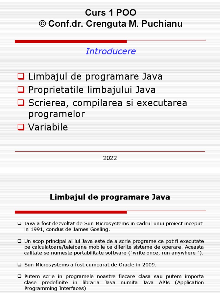 Curs 1 Java | PDF