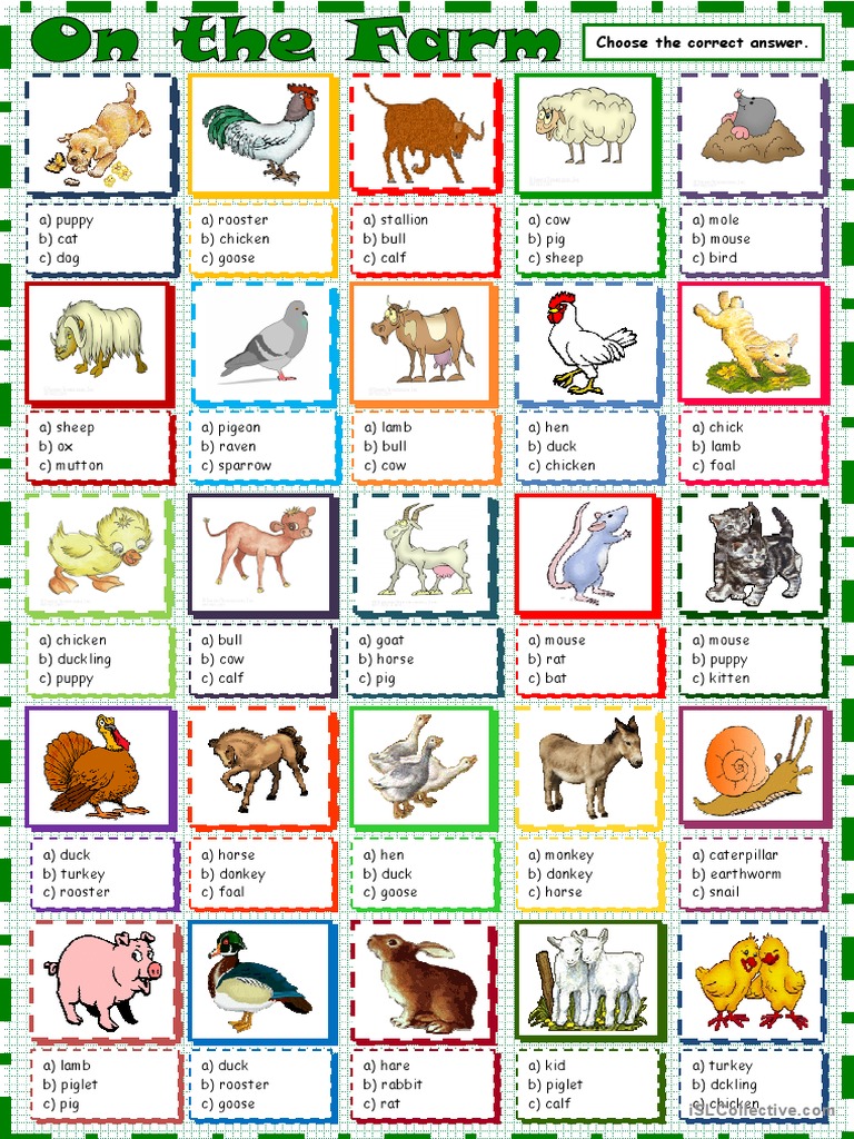 Farm Animal Vocabulary Quiz | PDF