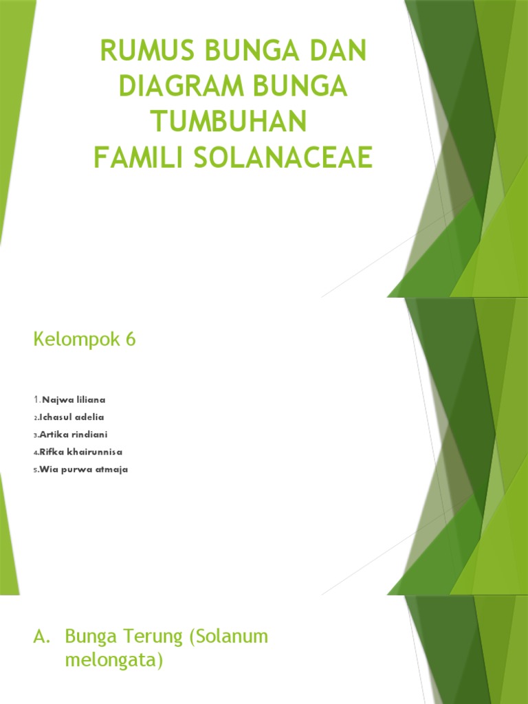 Rumus Bunga Dan Diagram Bunga Tumbuhan | PDF