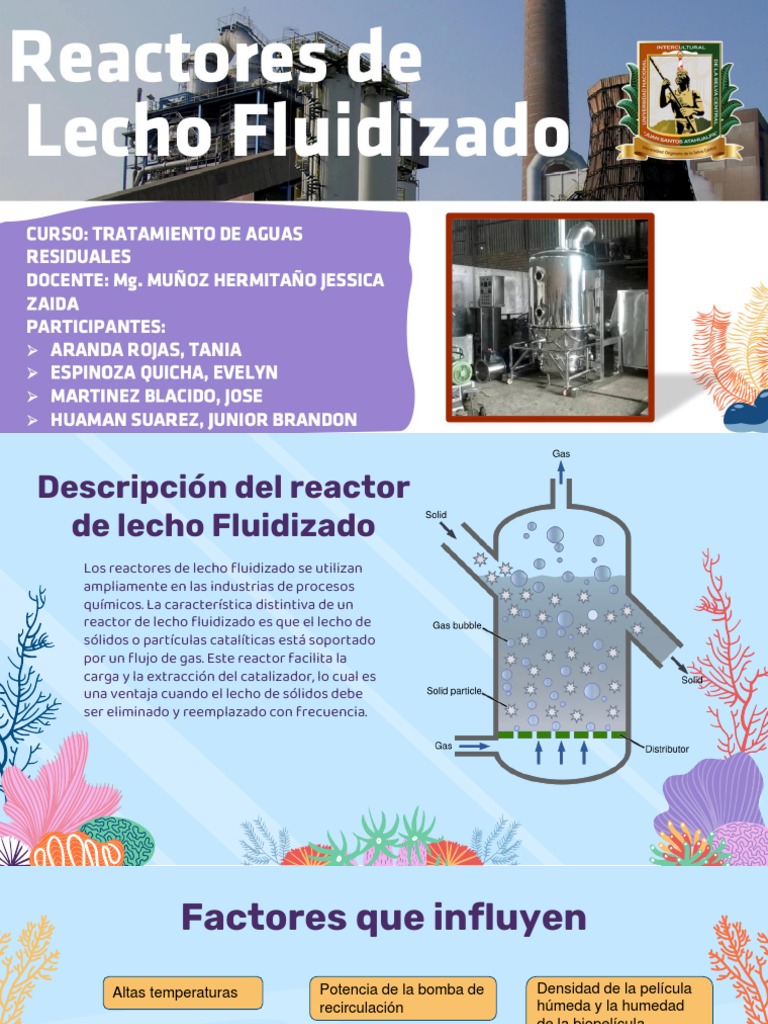 Tratamiento Secundario-Reactores de Lecho Fluidizado-Actividad Grupal | PDF | Ciencia y matemáticas