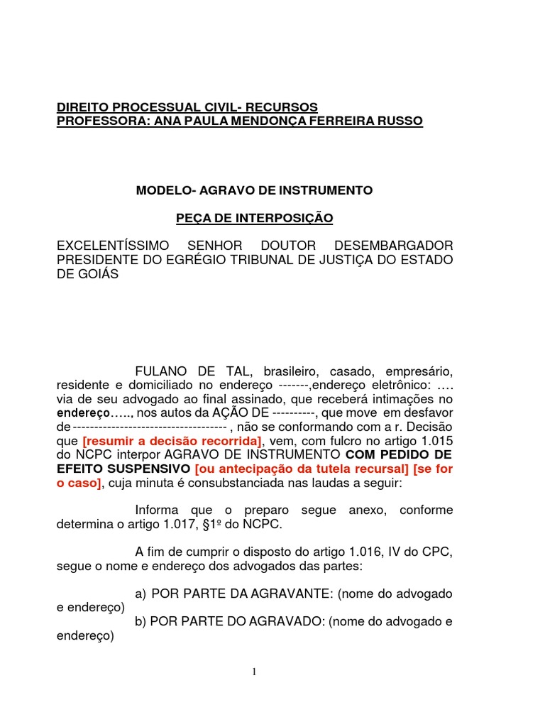 Modelo de Agravo de Instrumento em Direito Civil | PDF | Advogado | Julgamento sumário