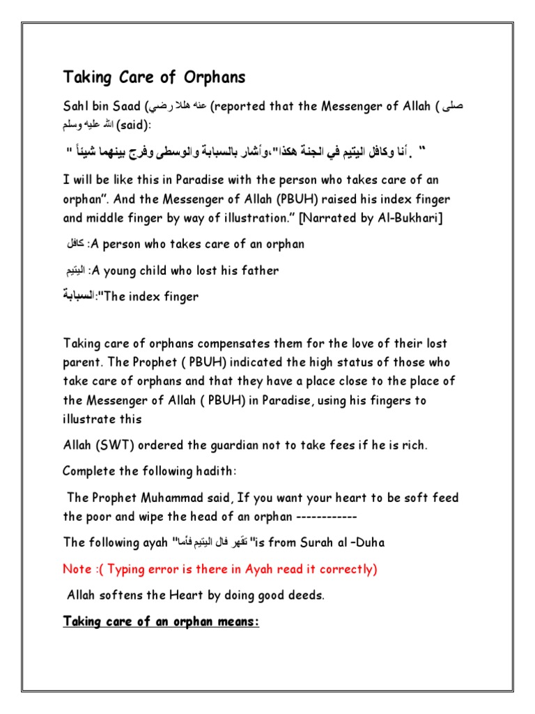 Taking Care of Orphans Revision Notes Yr 8 | PDF