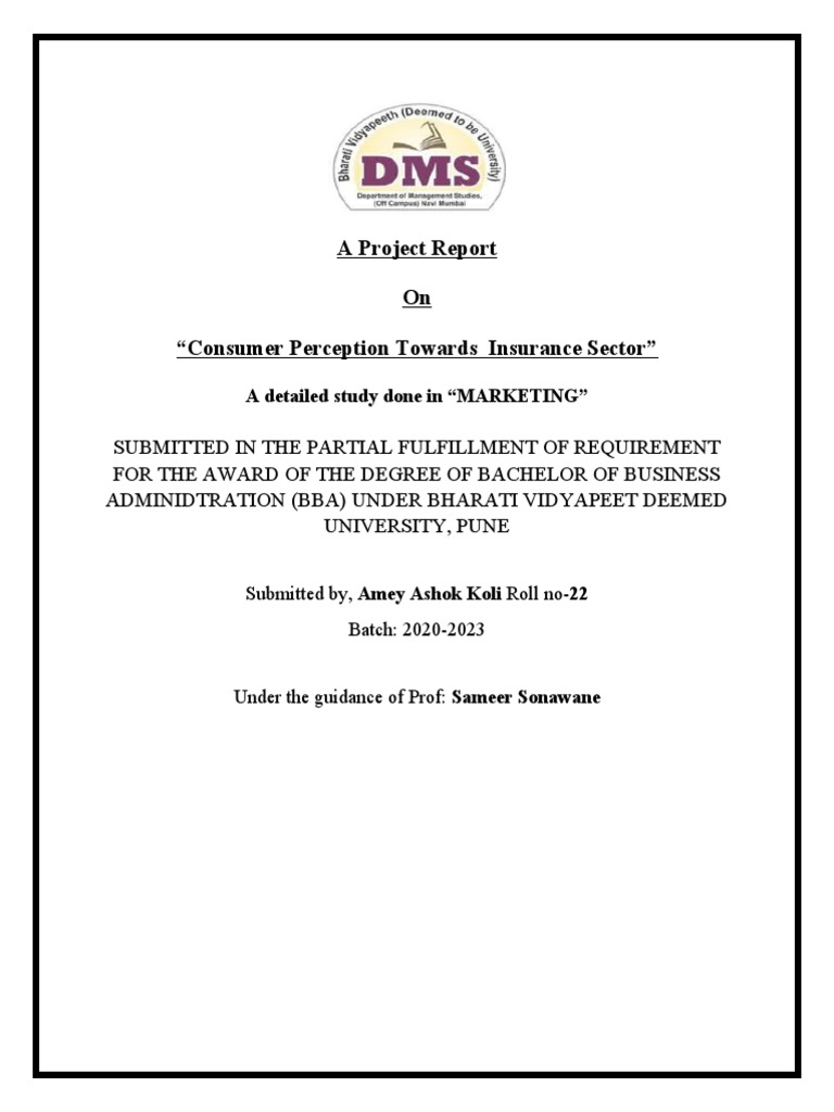 Blackbook Project Report | Download Free PDF | Insurance | Sampling ...