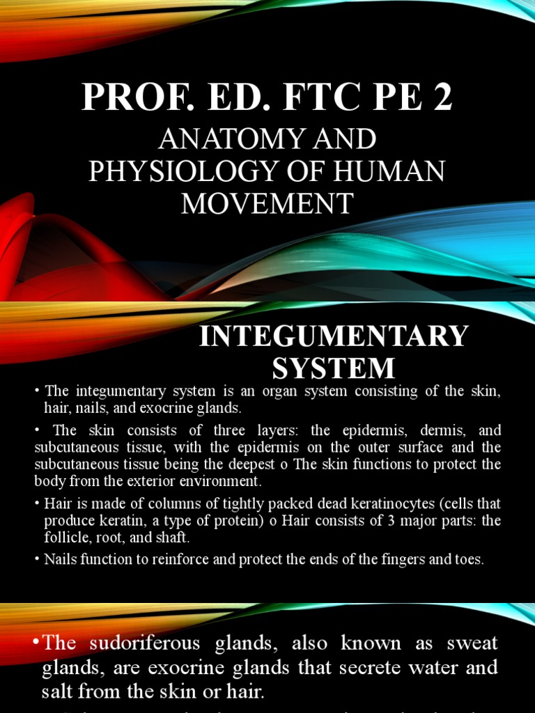 Anaphy | Download Free PDF | Skeleton | Bone