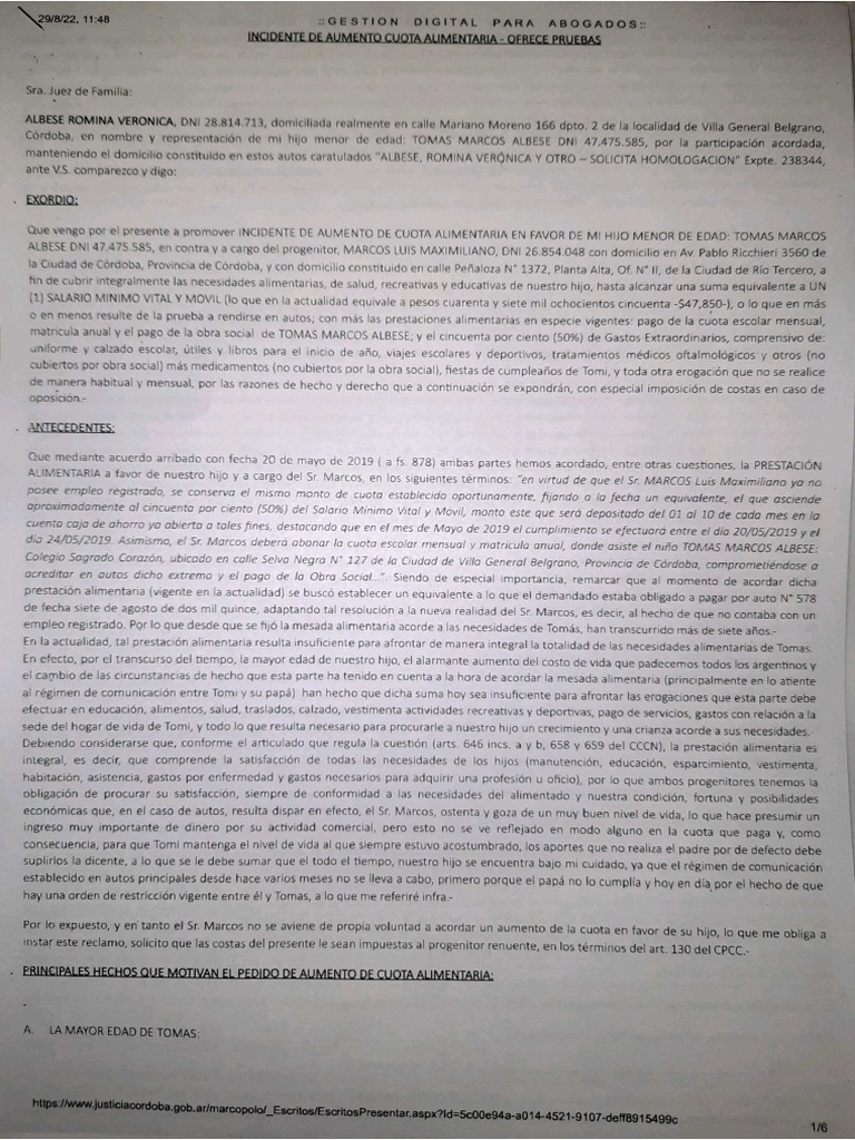 Aumento Alimentos Maxi | PDF
