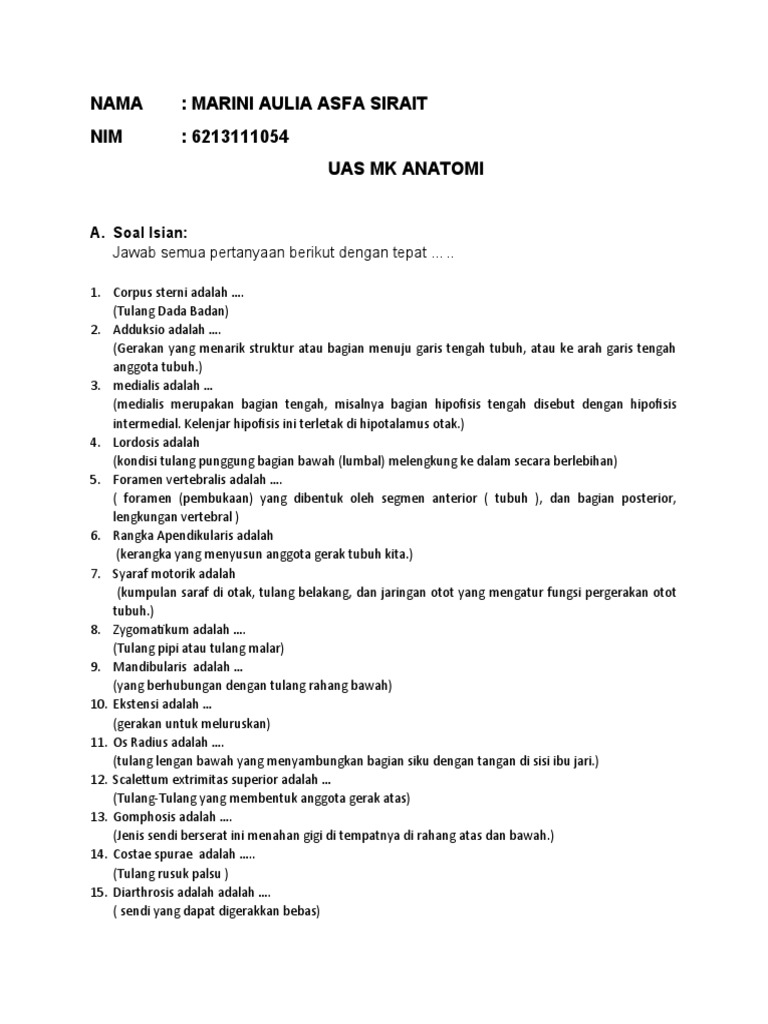 Uas Anatomi Rini | PDF