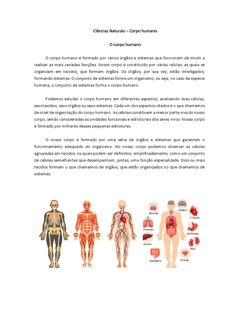 Estrutura e Funções do Corpo Humano | PDF | Ciências e Matemática