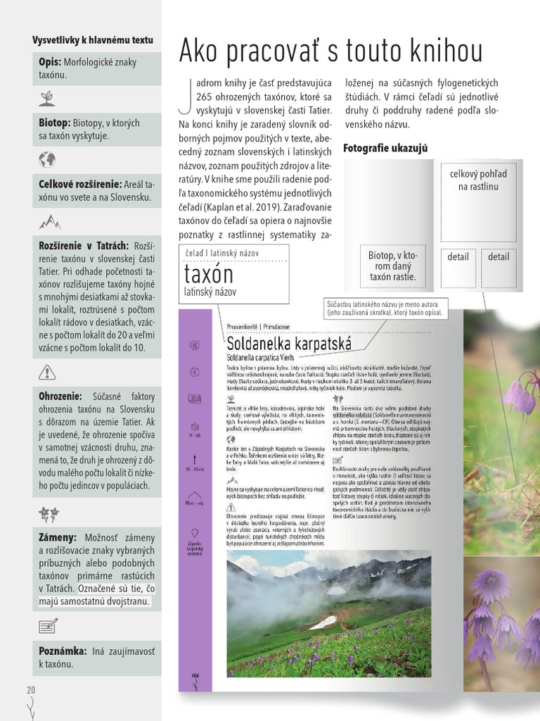 Ohrozené Rastliny Tatier - Ukážky | PDF