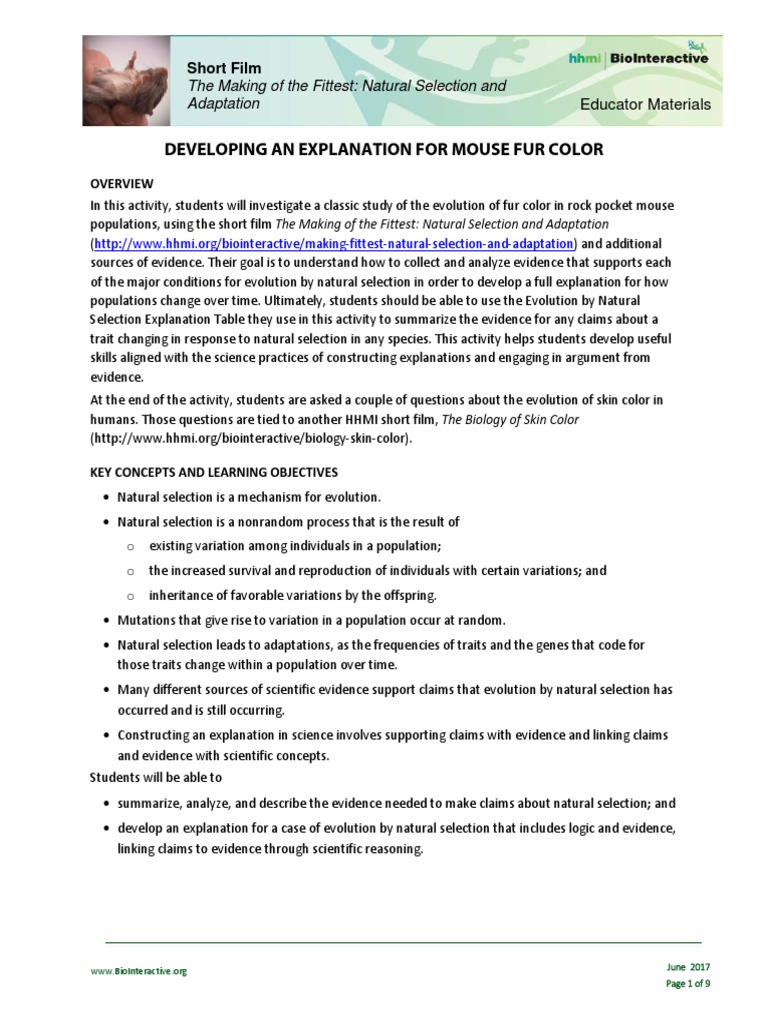 Developing Explanation Mouse Fur Color Teacher ADA | PDF | Evolution ...