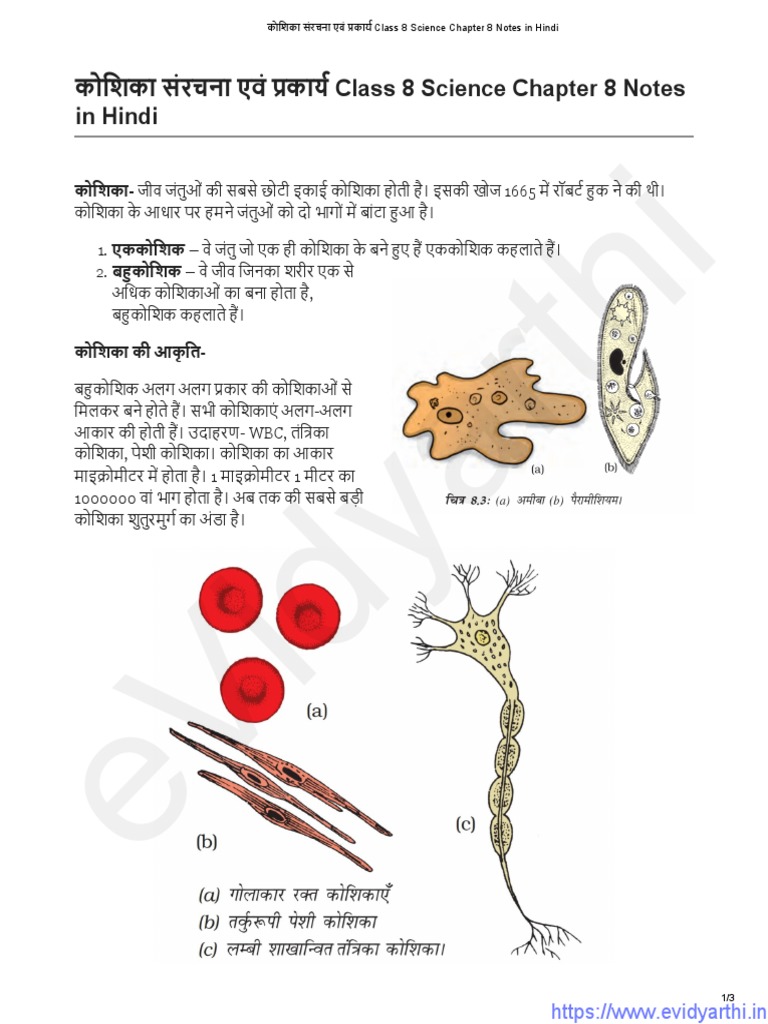 Class 8 Science Chapter 8 Notes in Hindi | PDF