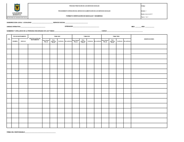 Formato Verificacion de Basculas y Grameras | PDF