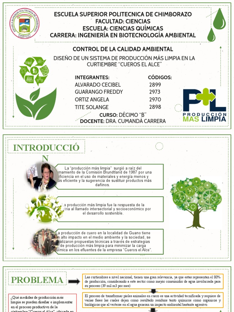 Proyecto - P+L Cueros El Alce | PDF | Agua | Cuero