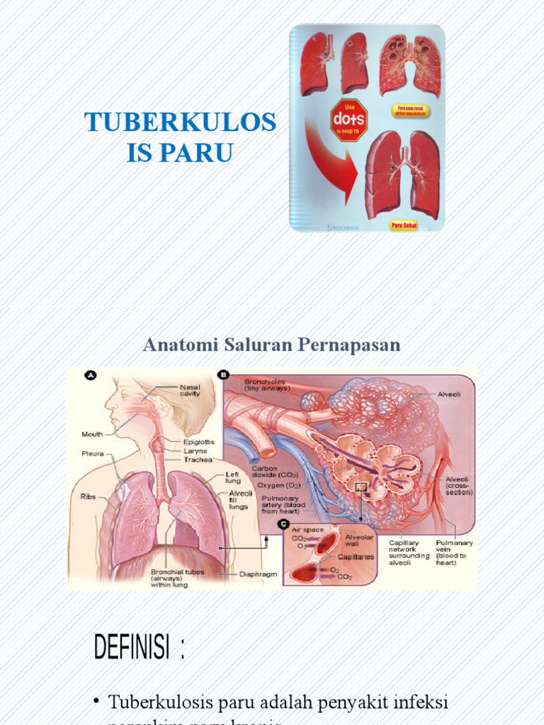 Panduan Lengkap Tuberkulosis Paru | PDF