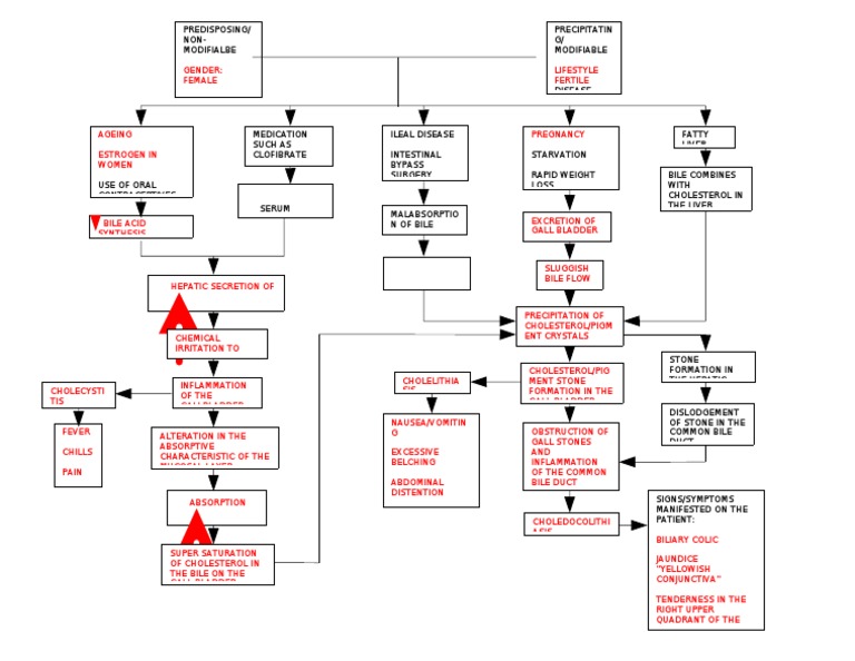 Pathophysiology - Choledocholithiasis | PDF | Bile | Gallbladder