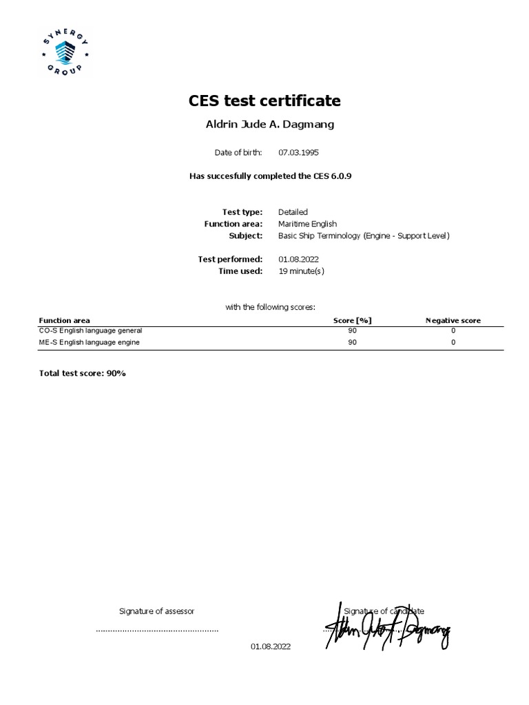 CES Test July 2022 Synergy | PDF
