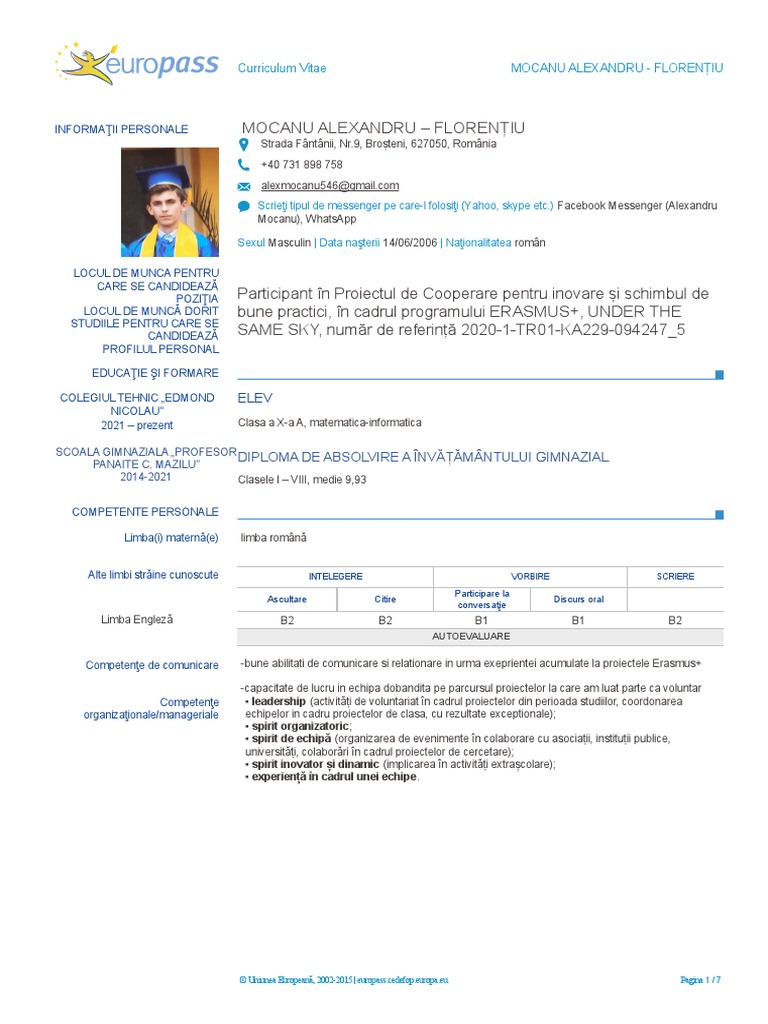 Anexa 6-CV Model | PDF