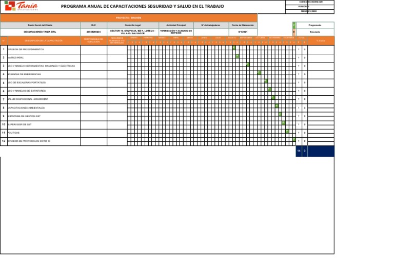 Programa Anual de Capacitacion y Entrenamiento SST | PDF