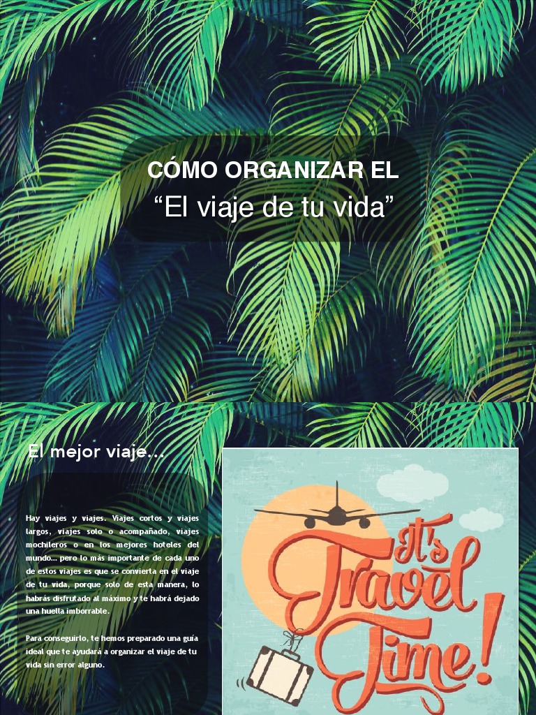 Guía para organizar tu viaje ideal | PDF