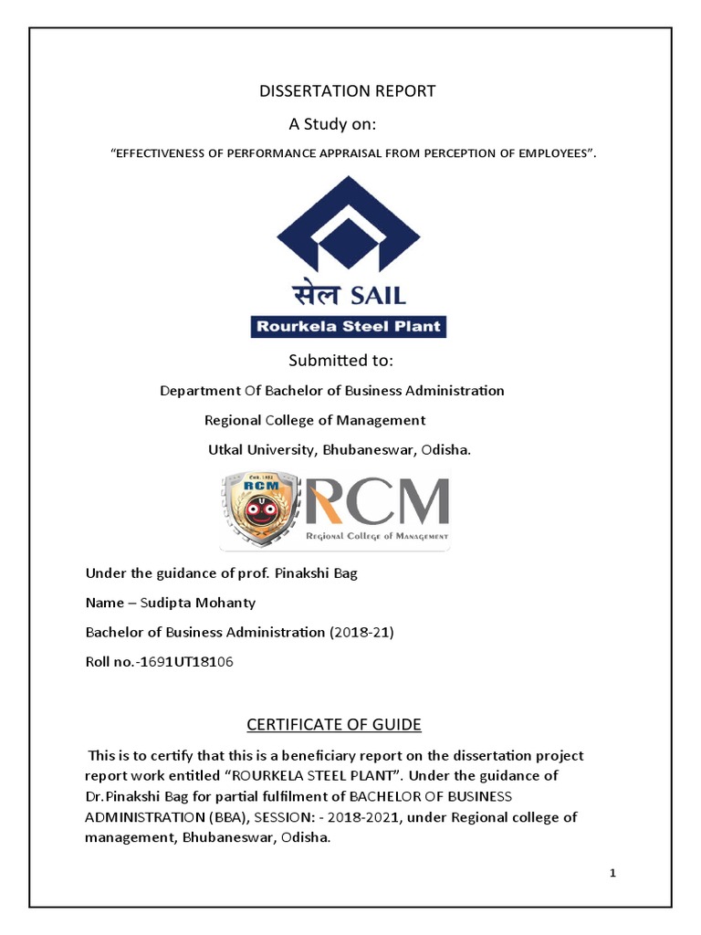 DISSERTATION REPORT SD | PDF | Performance Appraisal