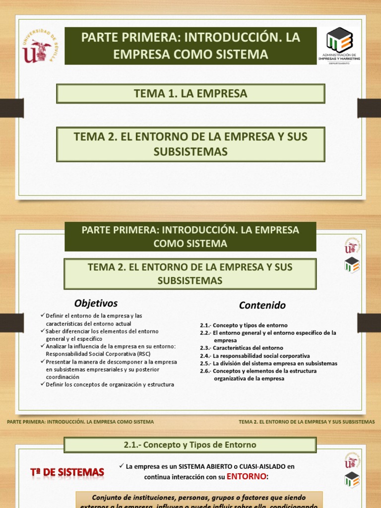 Tema 2 El Entorno de La Empresa y Sus Subsistemas | Descargar gratis ...
