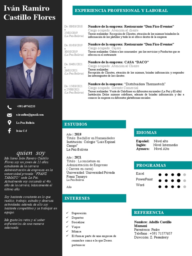 Currículum 01 Iván Ramiro Castillo Flores | PDF | Business