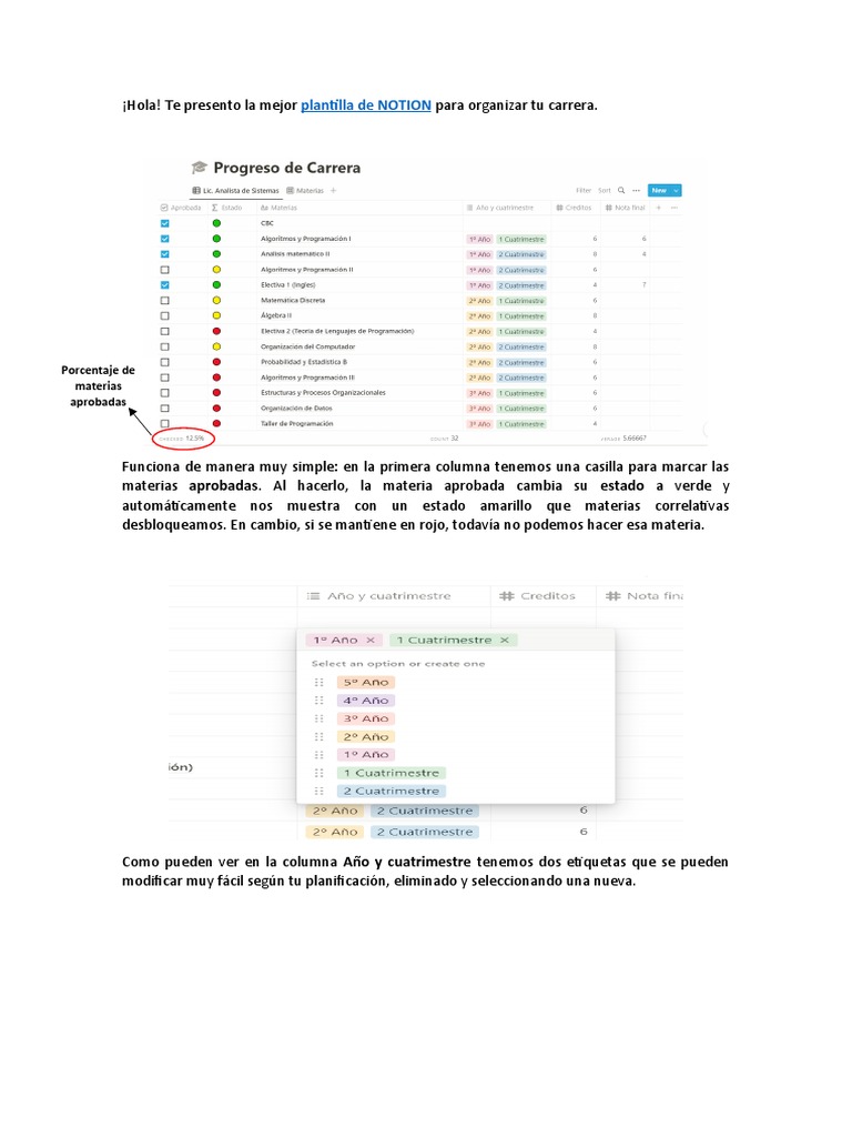 Instructivo Progreso de Carrera NOTION | PDF