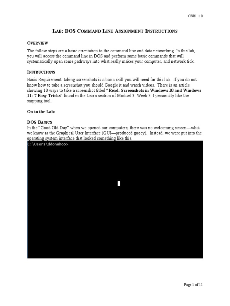 Lab DOS Command Line Assignment Instructions | PDF | Command Line Interface | Graphical User ...