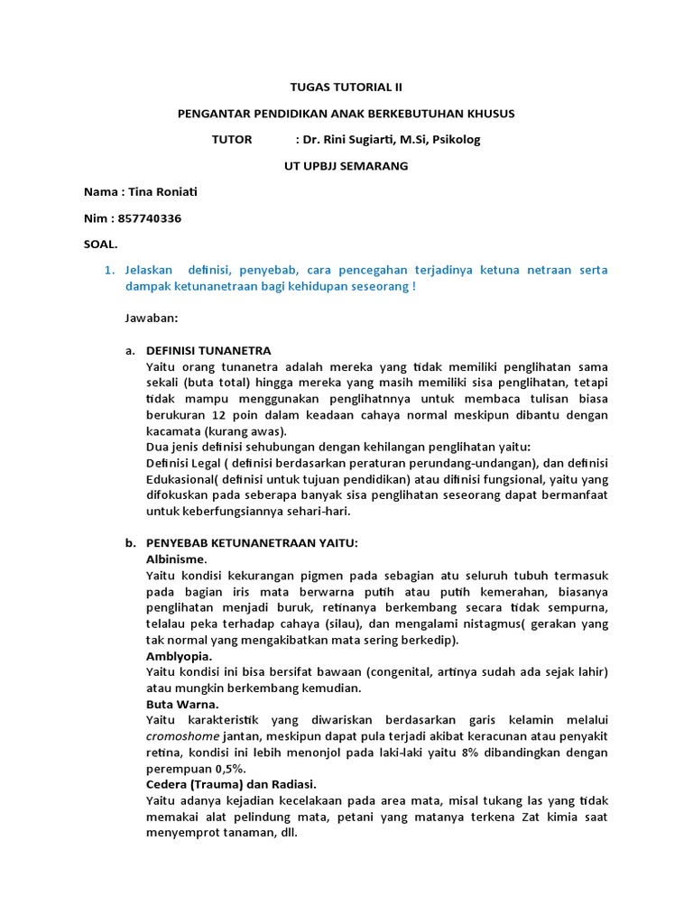 TT2 ABK - Tina Roniati | PDF