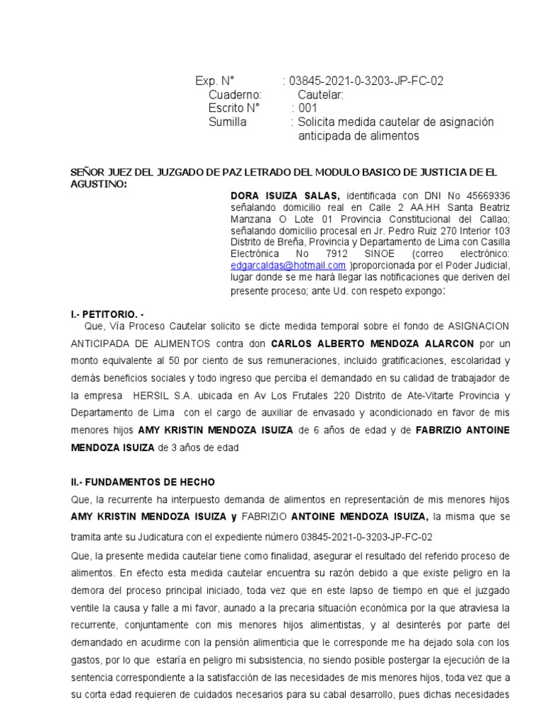 Medida Cautelar Alimentos | PDF | Demanda judicial | Pensión alimenticia
