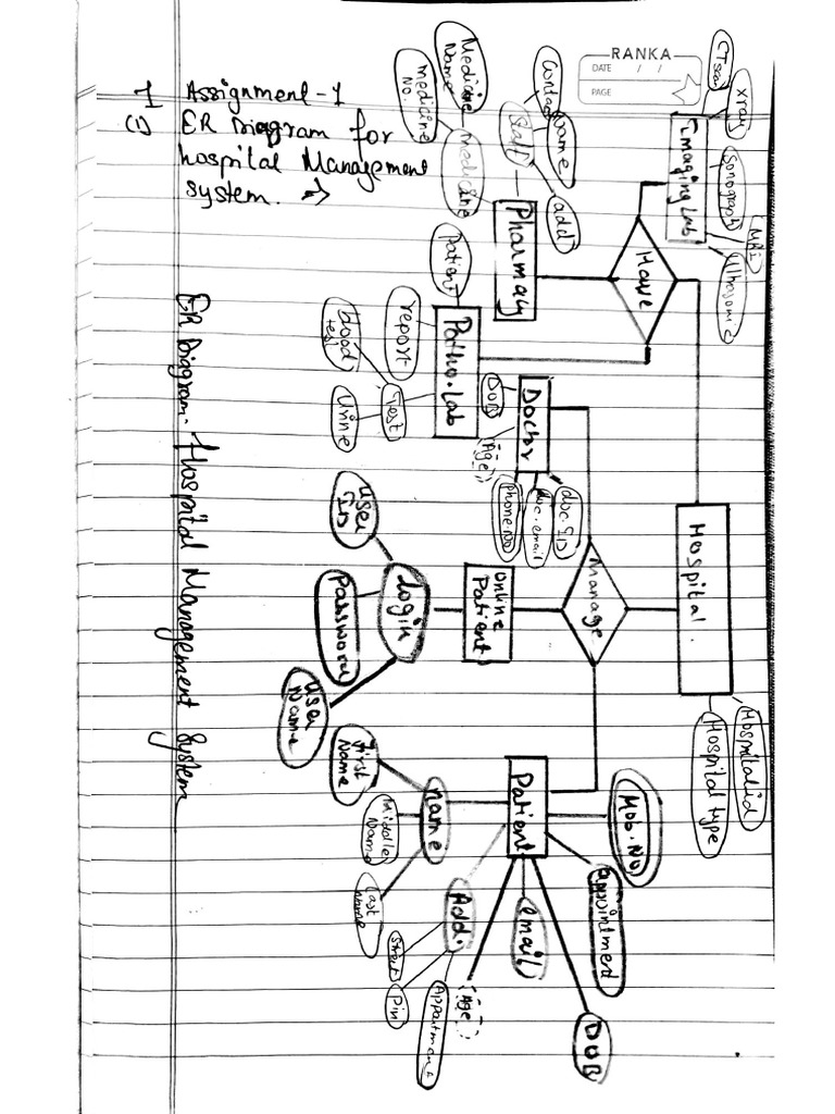 Assignment 1 Pdf