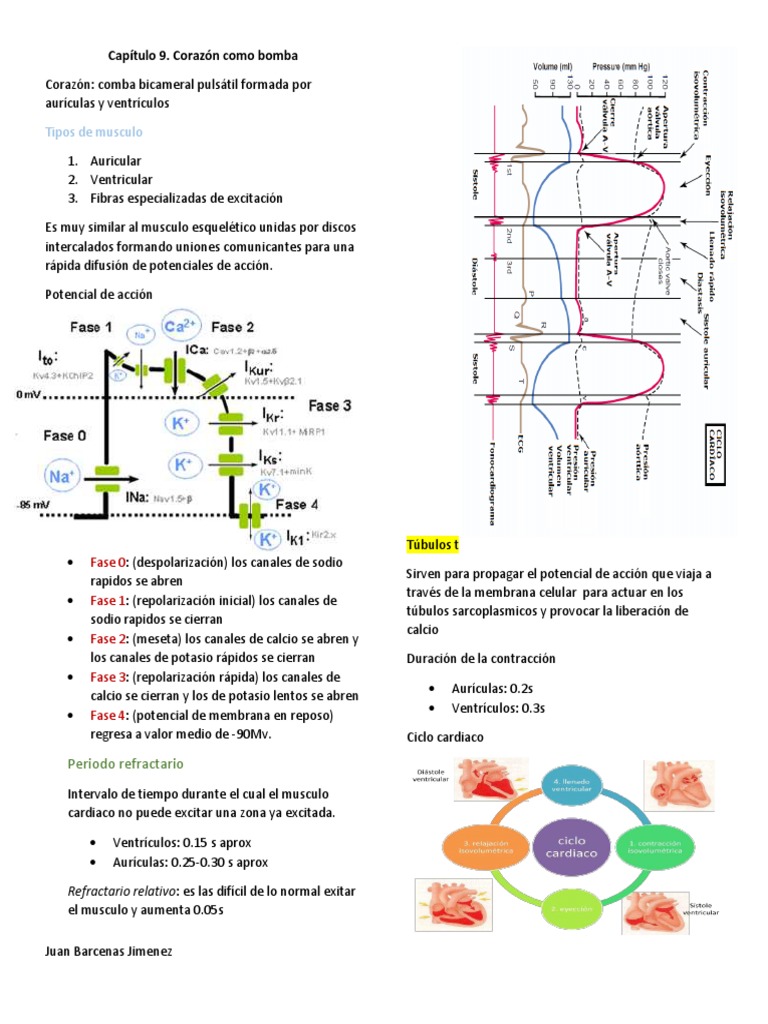 Capitulo 9 Guyton | Descargar gratis PDF | Potencial de acción | Músculo esquelético