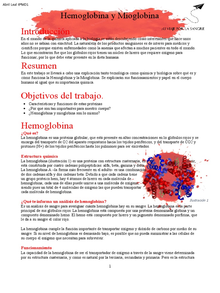 Hemoblobina y Mioglobina | PDF