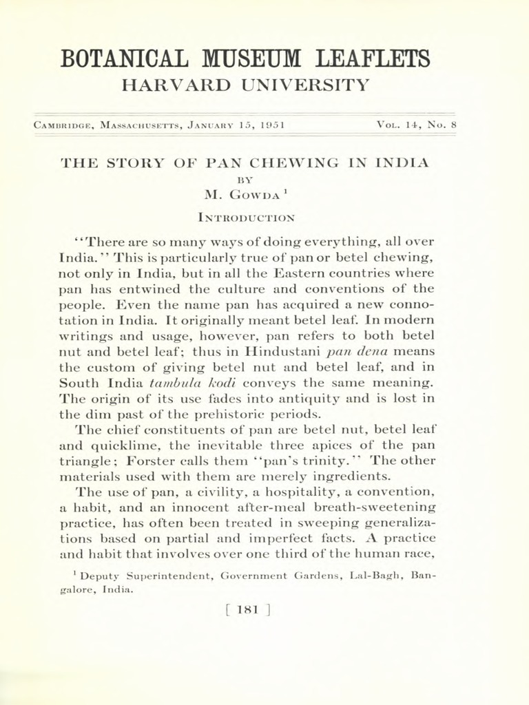 Gowda The Story of Pan Chewing in India | PDF