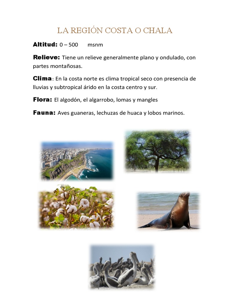 La Región Costa o Chala | PDF