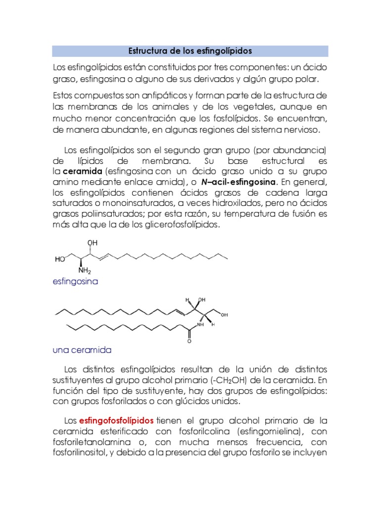 Estructura de Los Esfingolípidos | Descargar gratis PDF | Membrana ...