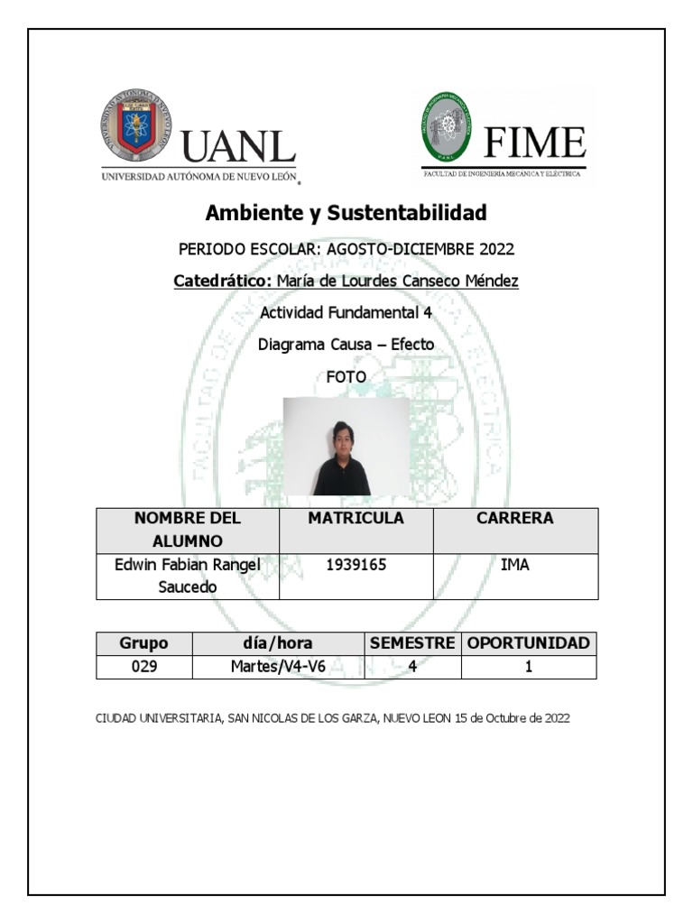 AF4 Diagrama Causa - Efecto | PDF