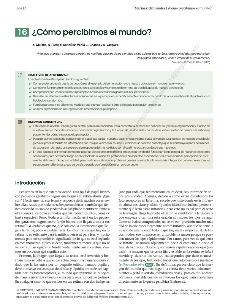 Capítulo 16 Cómo Percibimos El Mundo? | PDF | Neurona | Percepción