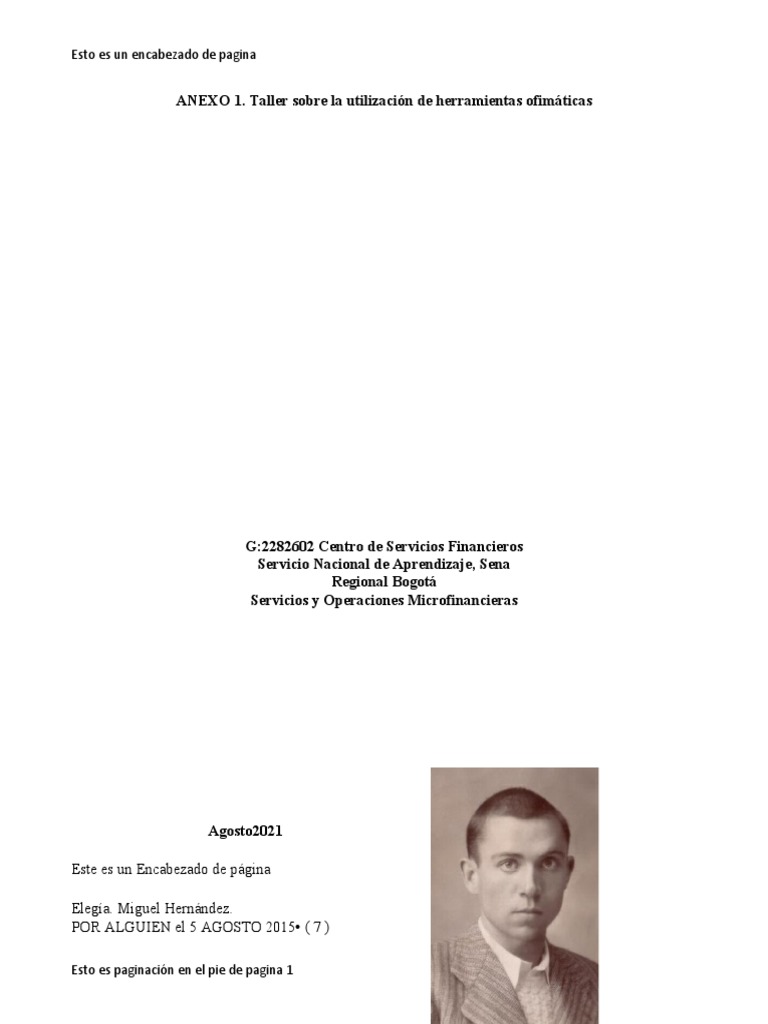 ANEXO 1. Taller Sobre La Utilización de Herramientas Ofimáticas | PDF