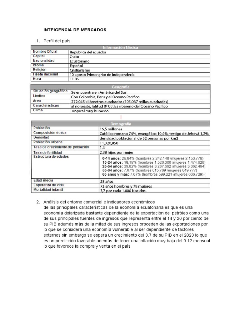 Plan De Exportación Pdf
