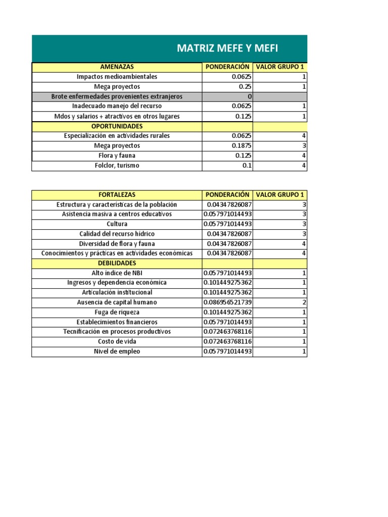 Matriz MEFI y MEFE en Excel | PDF | Costo de la vida | Entorno natural