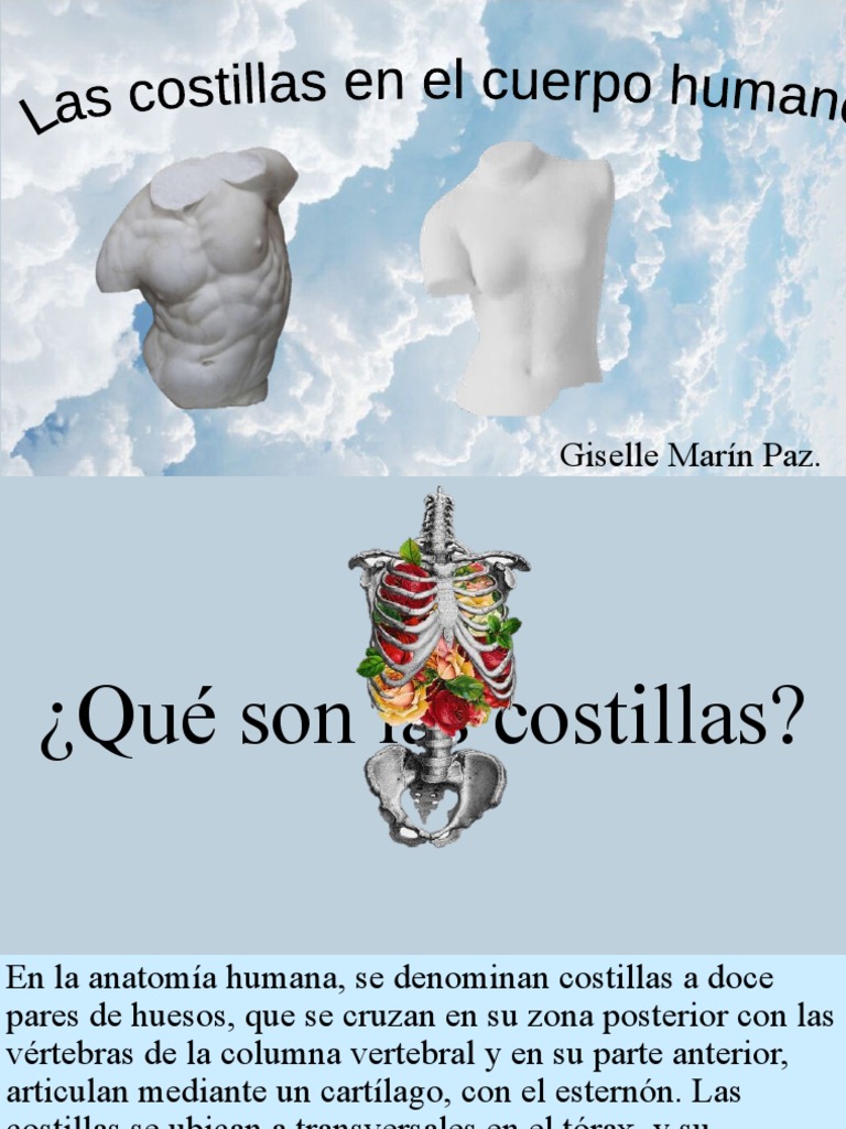 Las Costillas | PDF | Sistema musculoesquelético | Sistema esquelético