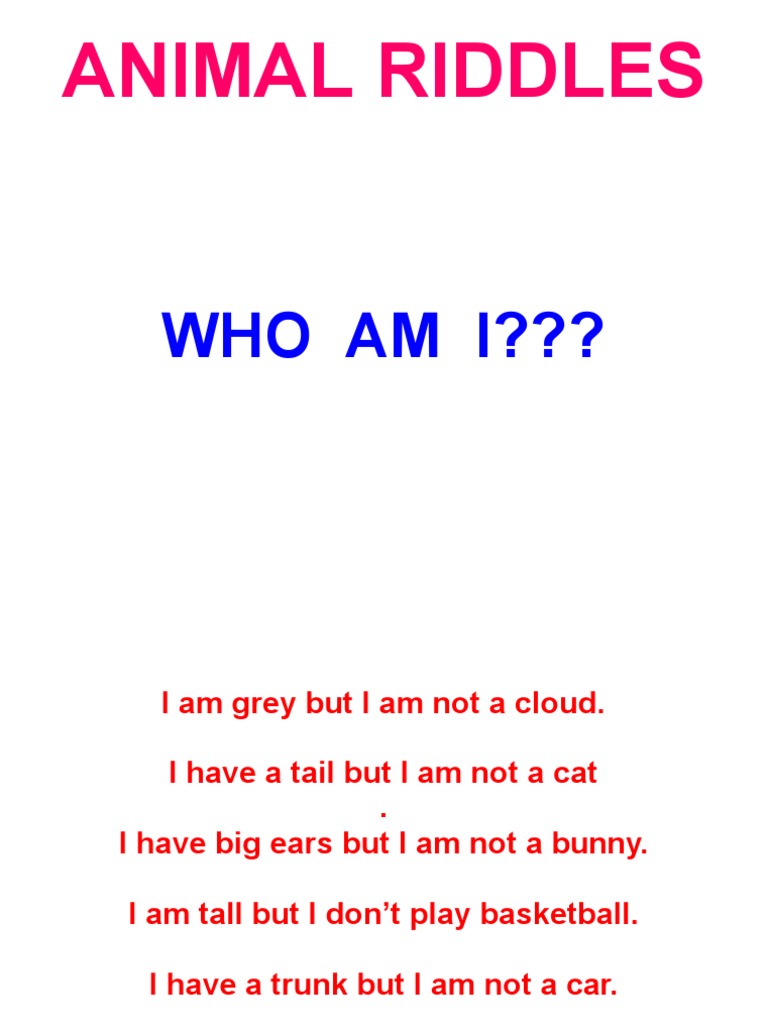 Animal Riddles Flashcards - 120389 | PDF