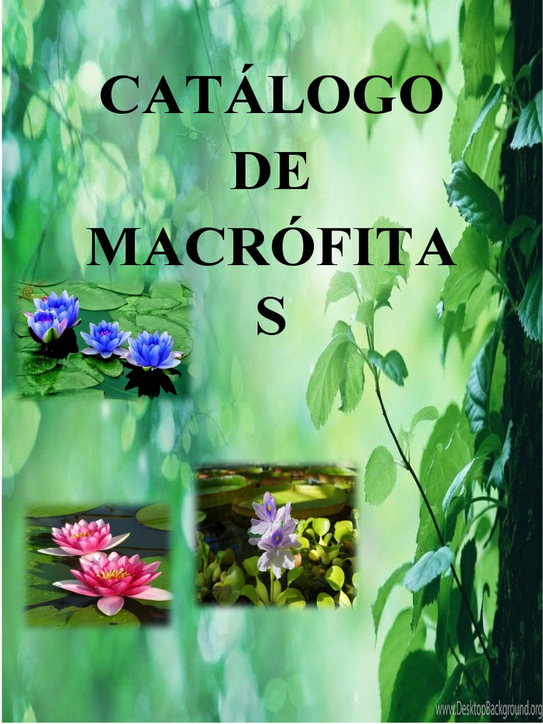 Catálogo de Macrófitas Acuáticas | PDF | Plantas | Botánica