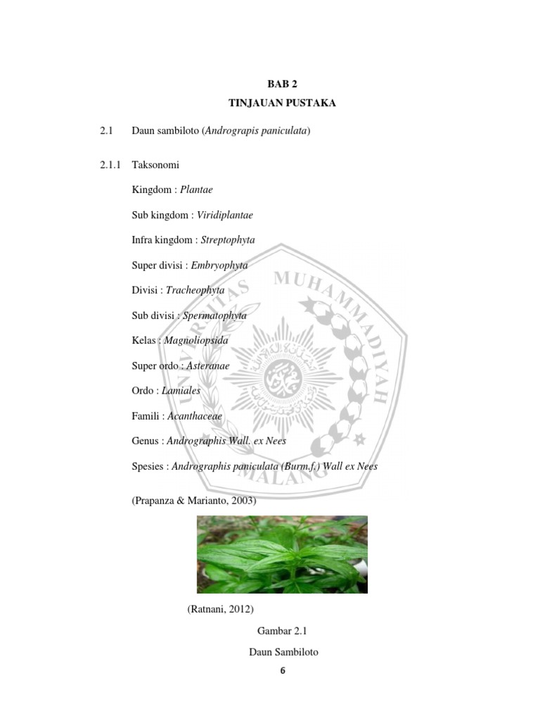 BAB 2 Daun Sambiloto | PDF