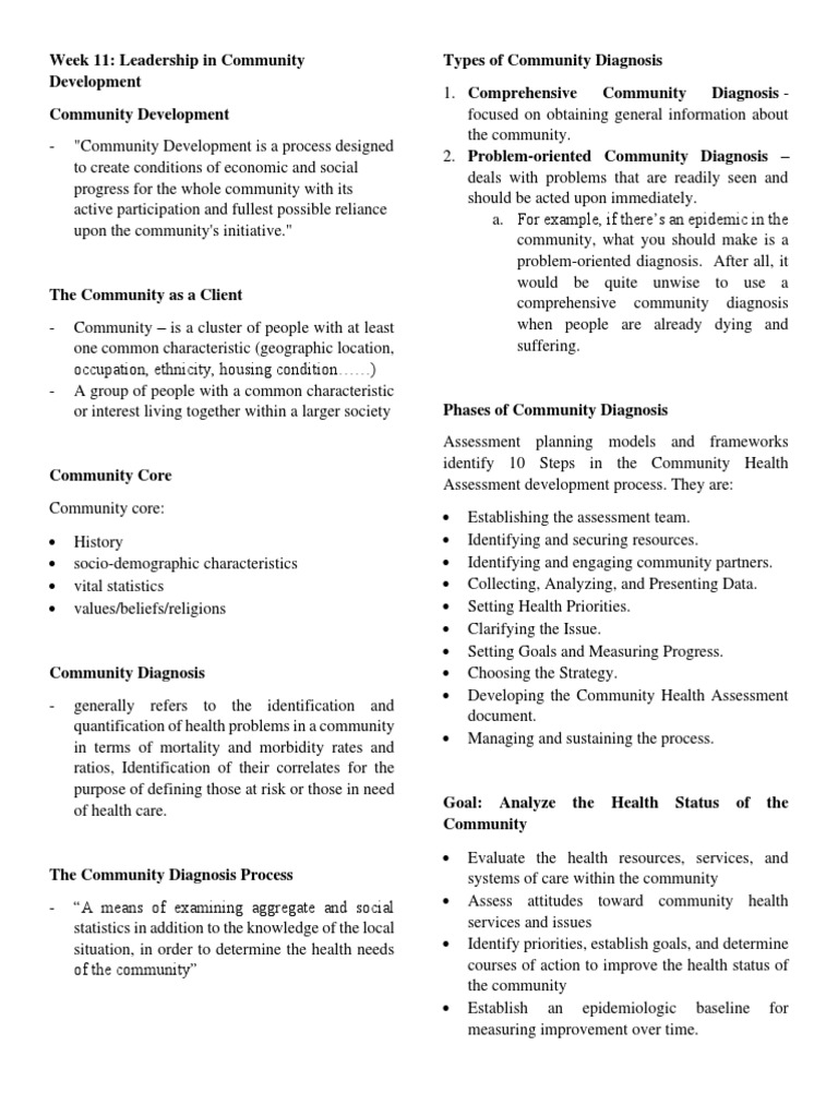 Leadership in Community Development Types | PDF | Preventive Healthcare ...