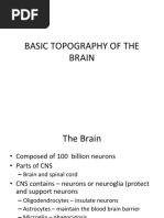 Brain Parts & Mnemonics Guide | PDF | Cerebral Hemisphere | Cerebral Cortex