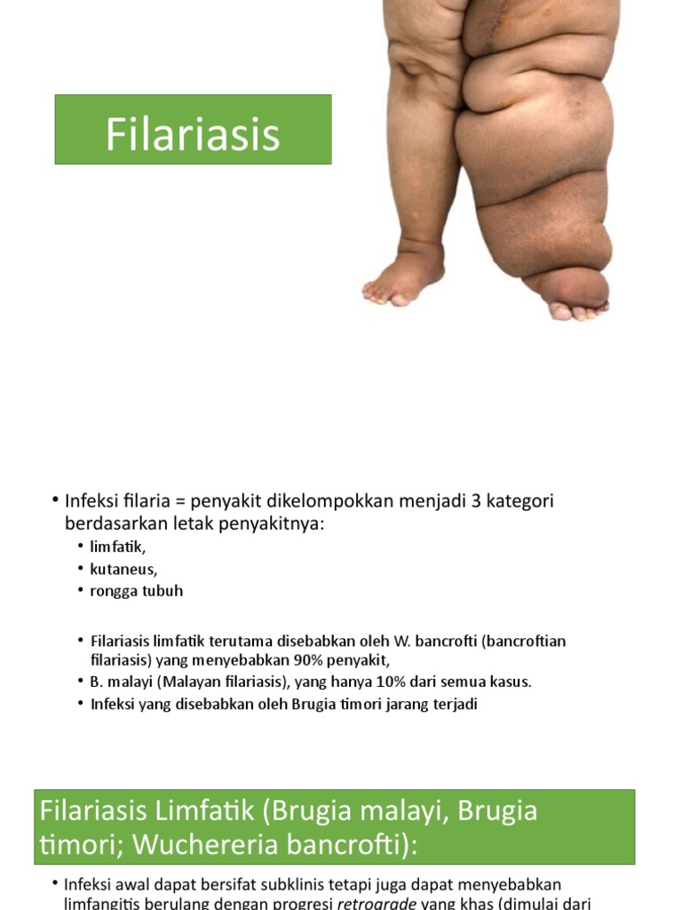 Filariasis | PDF