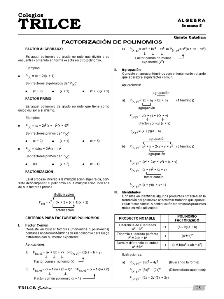 05 Factorizacion de Polinomios | PDF | Factorización | Matemáticas
