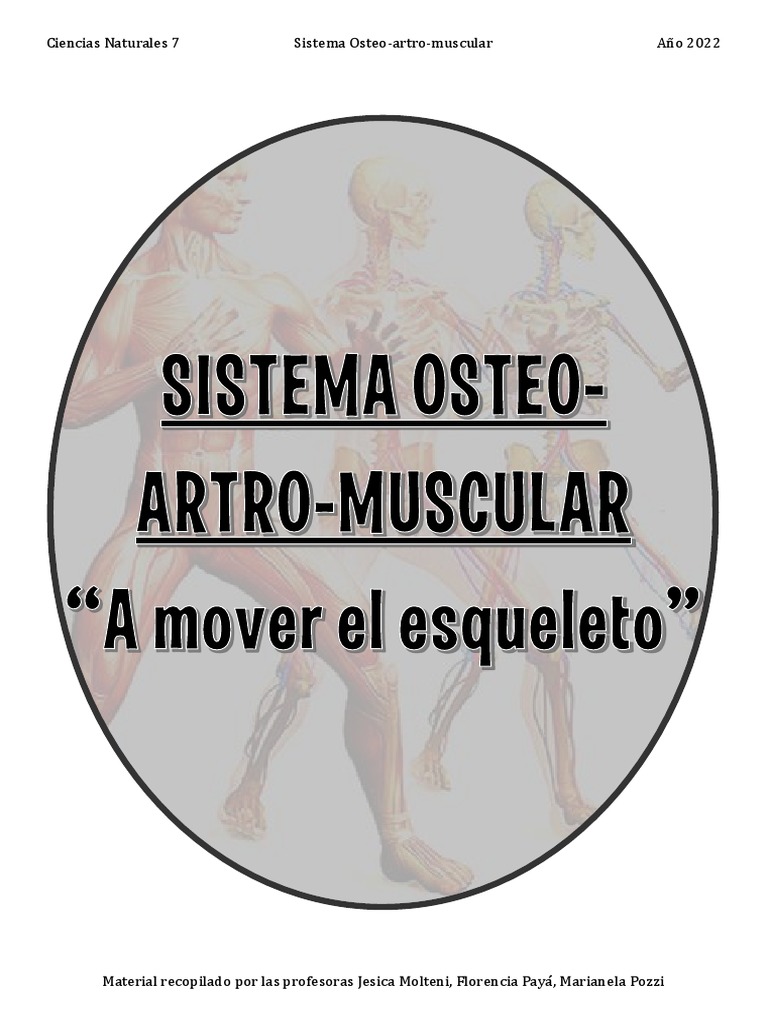 Capítulo 4 - Sistema Osteo-Artro-Muscular | PDF